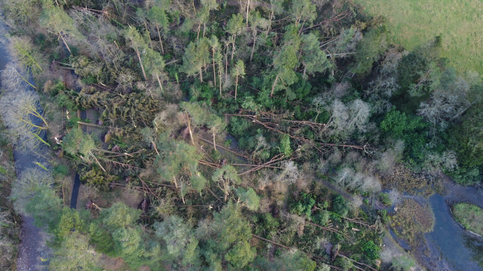 Craig y Nos Country Park Closed Following Extensive Storm Damage ...